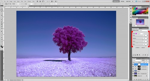 Tutorial: How To Transform Your Landscape Photos Into Surreal Infrared ...