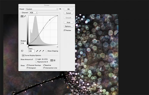 How To Create Beautiful Bokeh Images - 500px