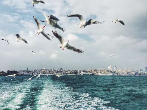 20 Amazing Smartphone Shots: Sony Honors the Best Mobile Photos in the ...