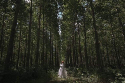 This Photo Was Shot with a 5MP Smartphone... - 500px