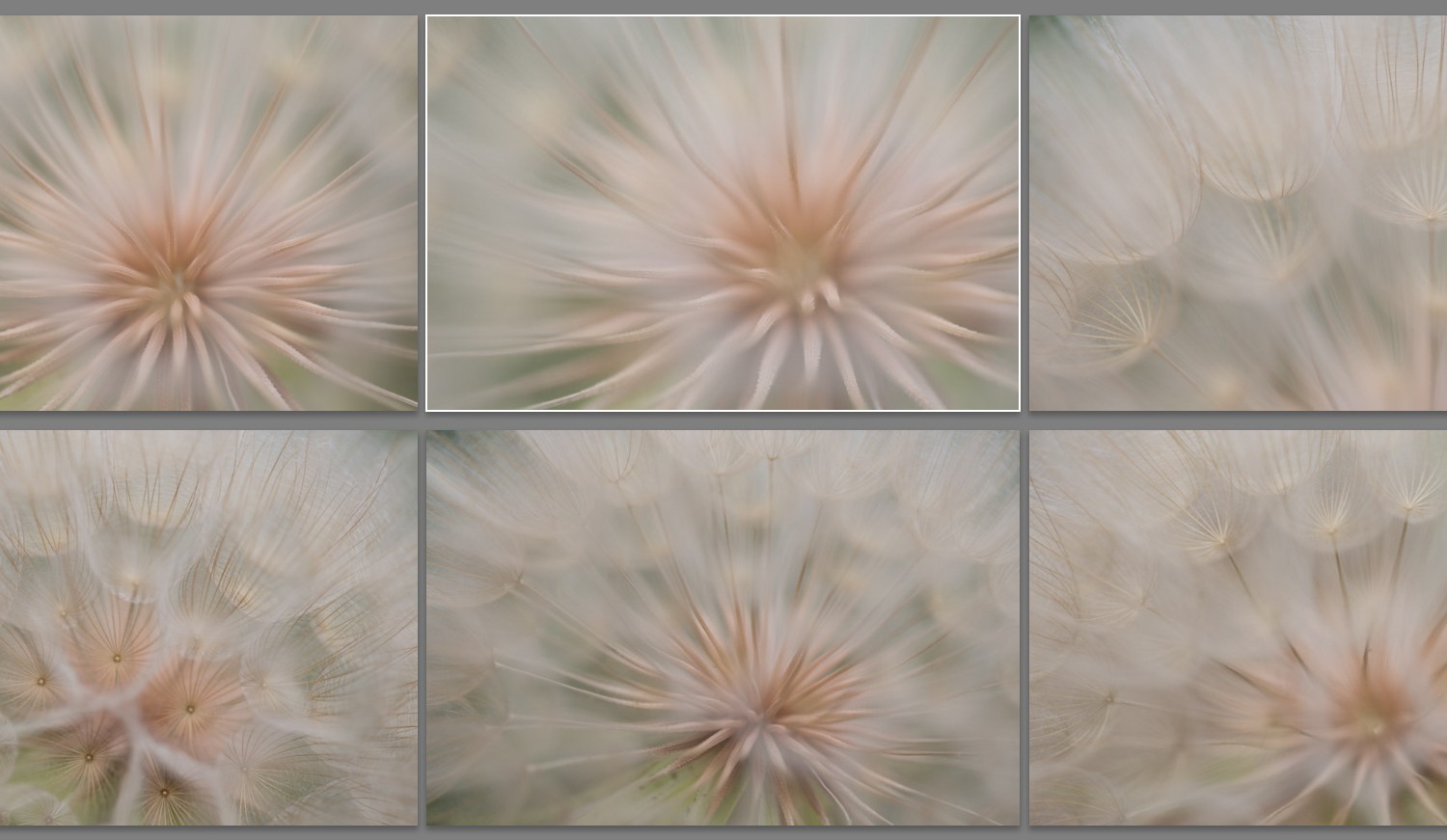 Depth-of-Field-and-Focus-Points-Example - 500px