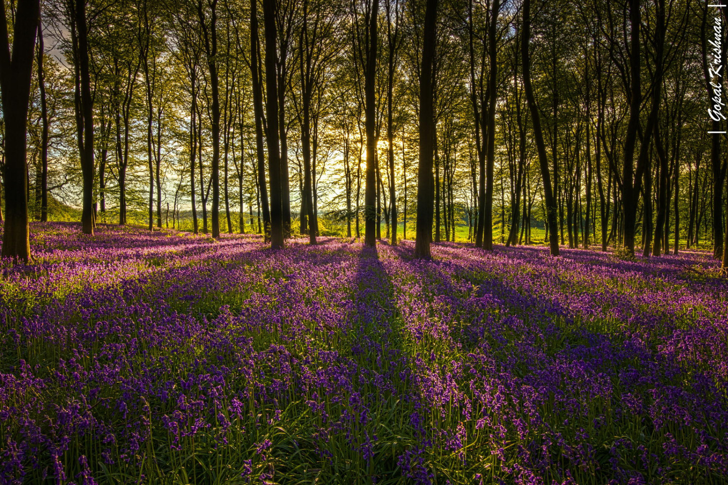 10 Examples Of Creative And Unusual Leading Lines 500px 10 Examples Of Creative And Unusual Leading Lines 500px