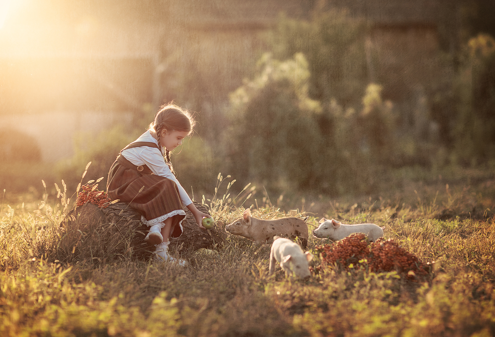 Discipline The Other Day Home Delivery Canon 5ds Nightmare Legacy