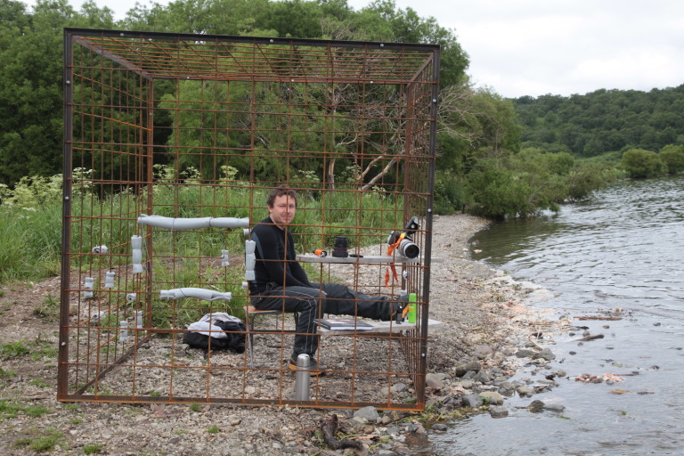 This Amazing Underwater Photo of a Bear Feeding Was Captured from a ...