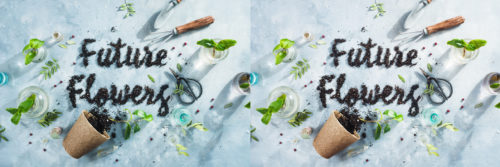 Tutorial: How to create a spring still life with soil and plants - 500px