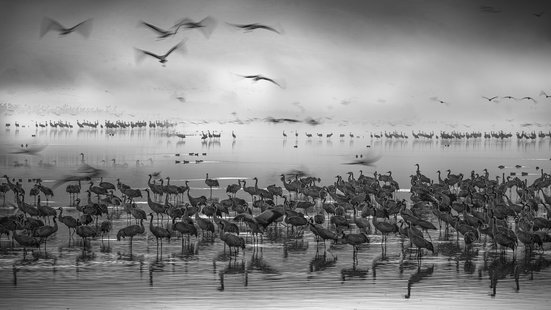 500px_blog_wildlife_quest_winners - 500px