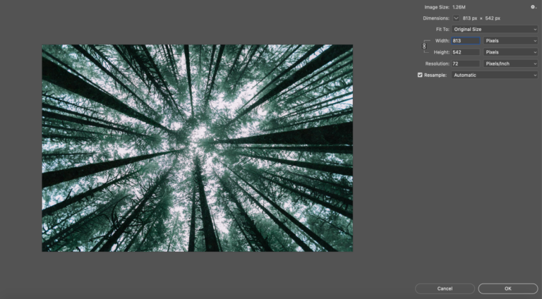 Pixels to Inches: How to Resize Images Without Losing Quality in ...