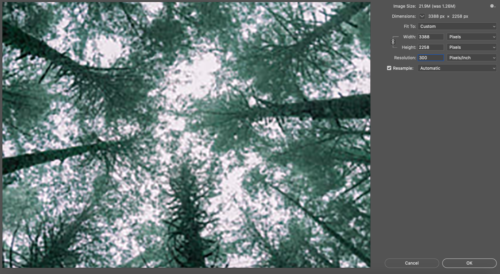 Dimosbox.gr Blog - Pixels to Inches: How to Resize Images Without ...