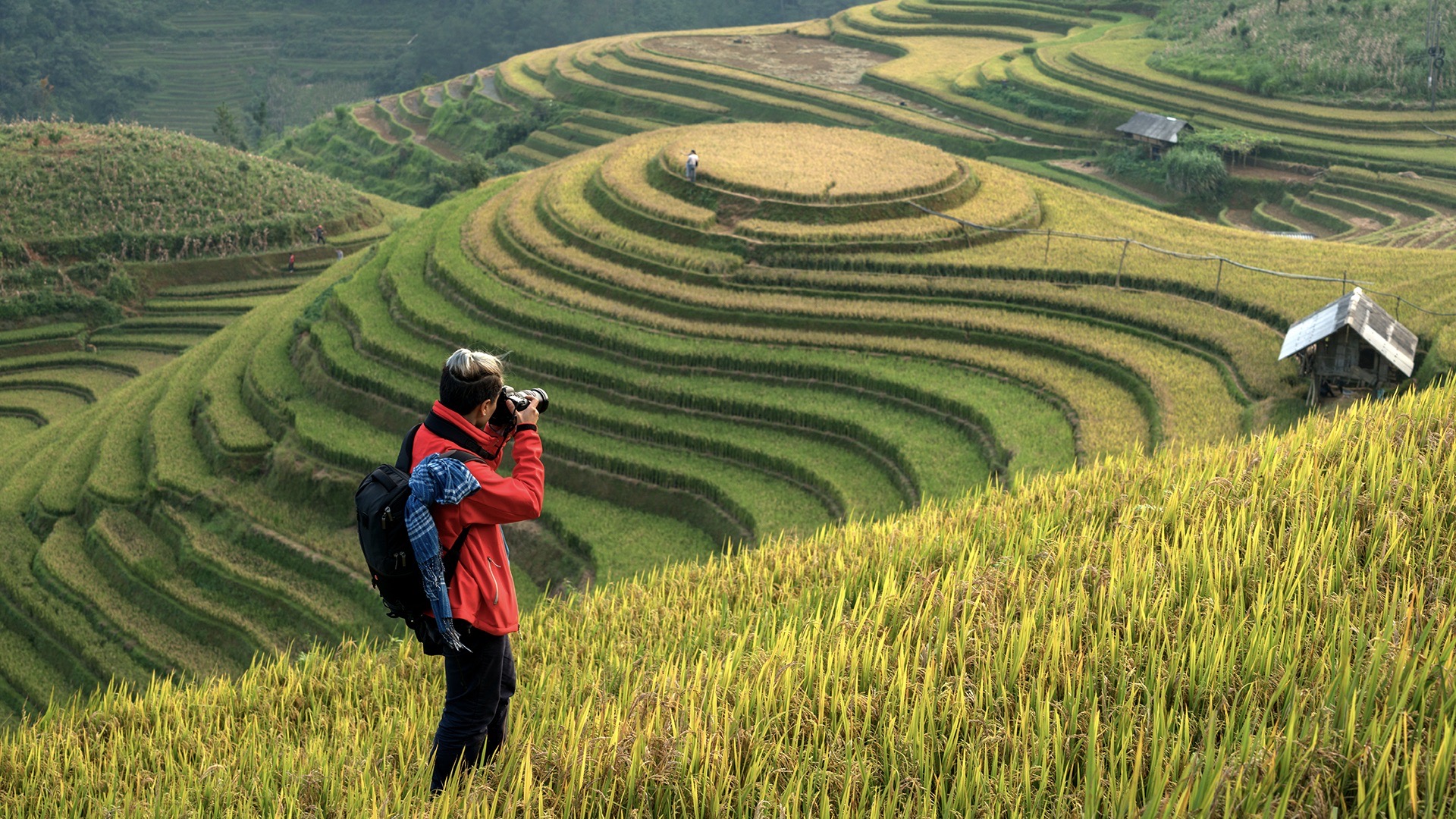 How To Make Money With Photography Top 10 Insights 500px