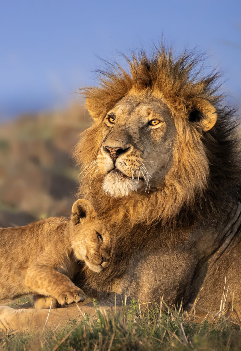 500px and Neil Dankoff Photography Competition: Winners Announced! - 500px