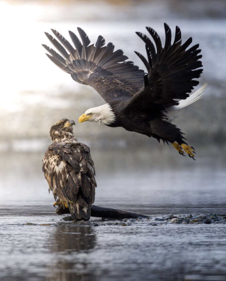 500px and Neil Dankoff Photography Competition: Winners Announced! - 500px