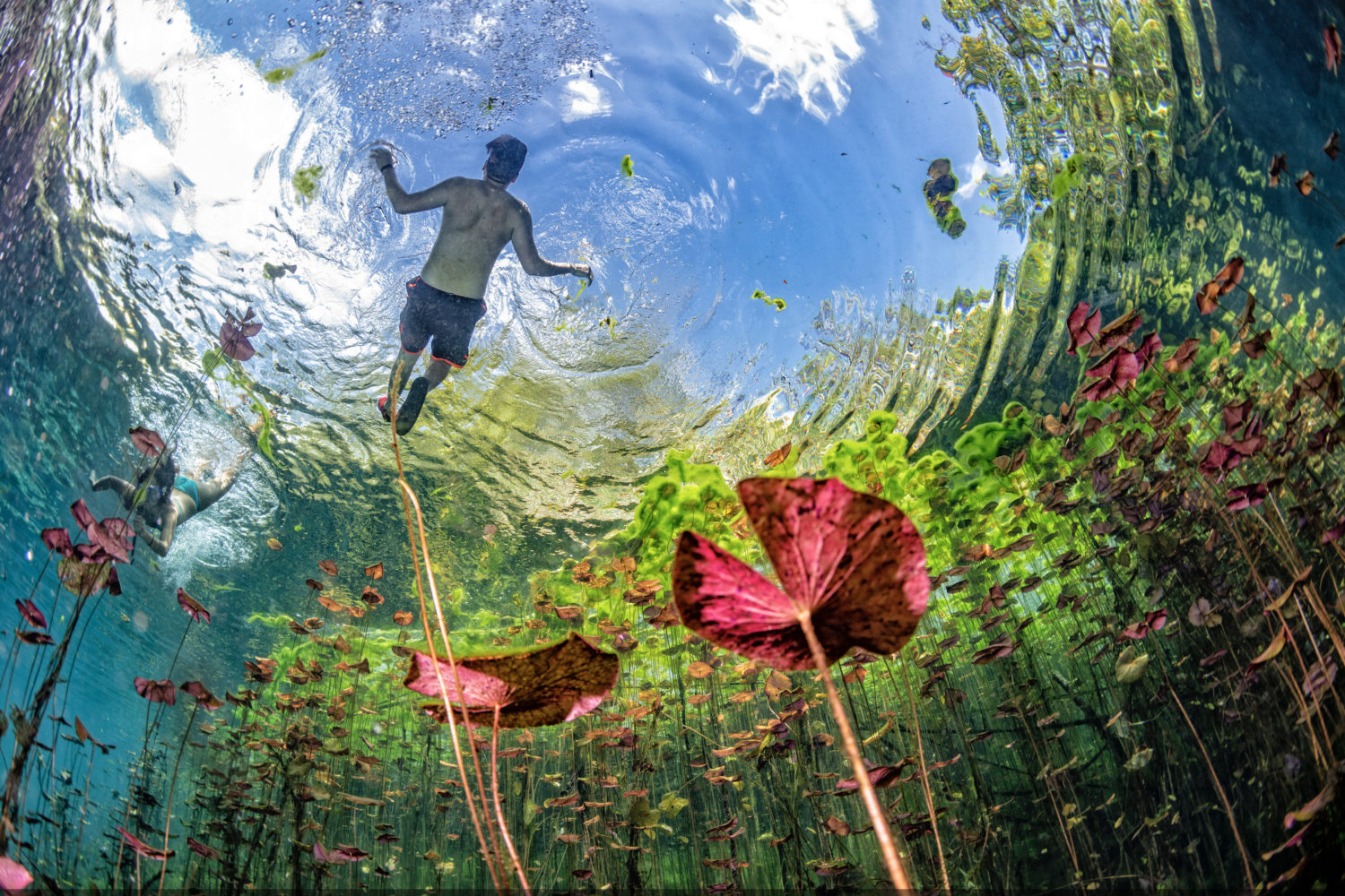 aquatic-RU-swimming in the sky-andrea izzotti - 500px