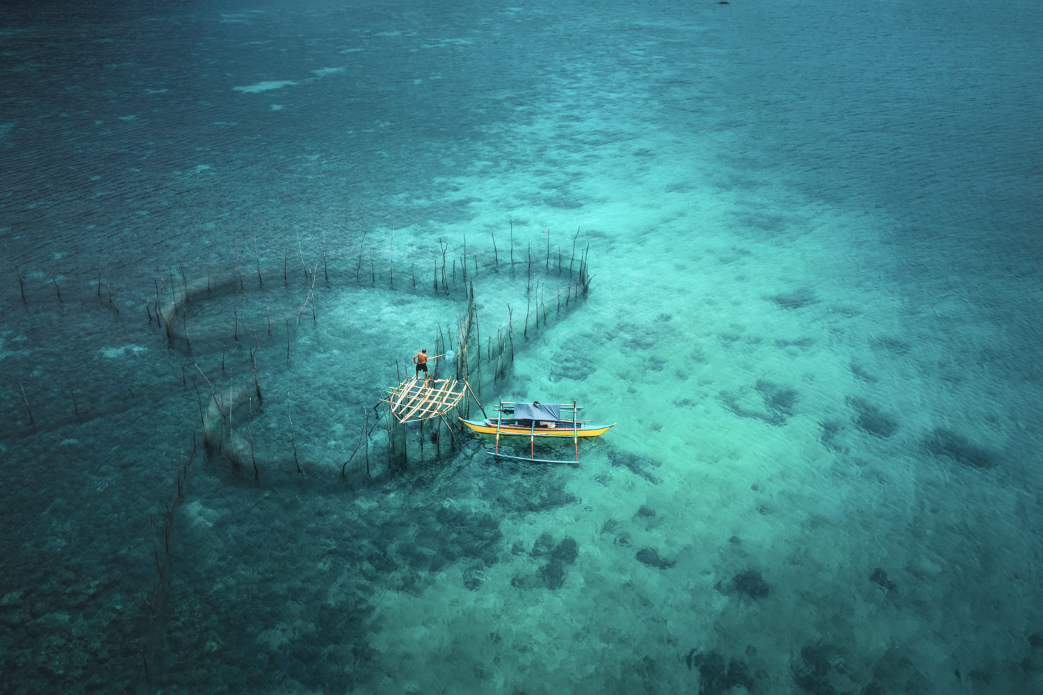 aquatic-RU-the farm in the ocean-vladimi karamazov - 500px