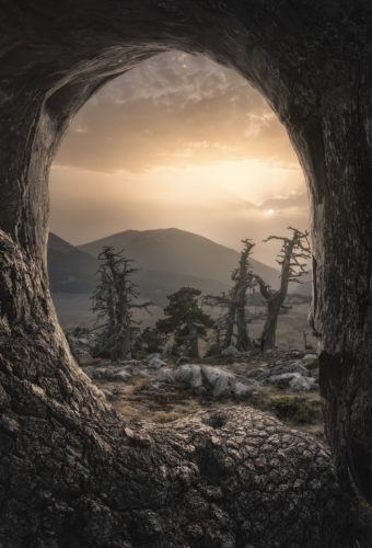 500px and Neil Dankoff Photography Competition: Winners Announced! - 500px