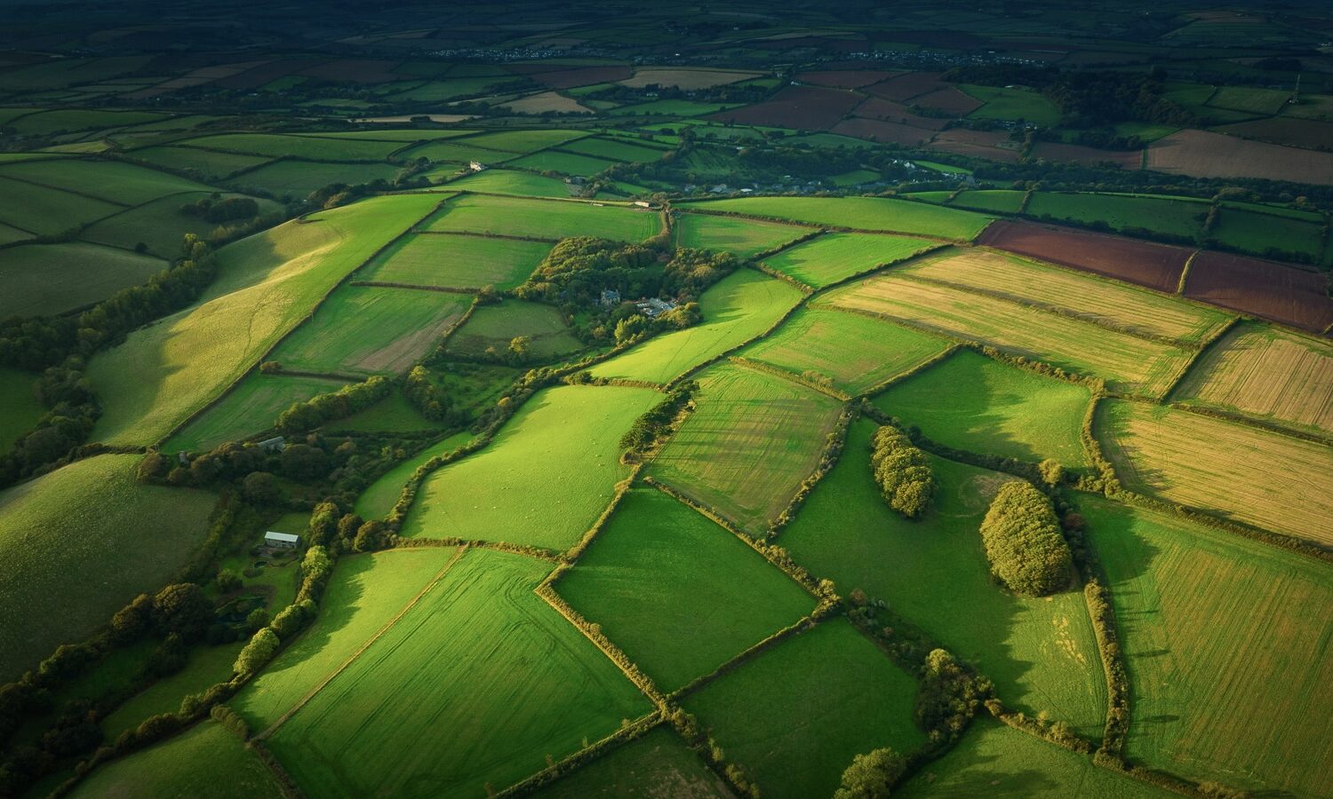 Growing Affect with Monochromatic Colour Schemes - Photography News