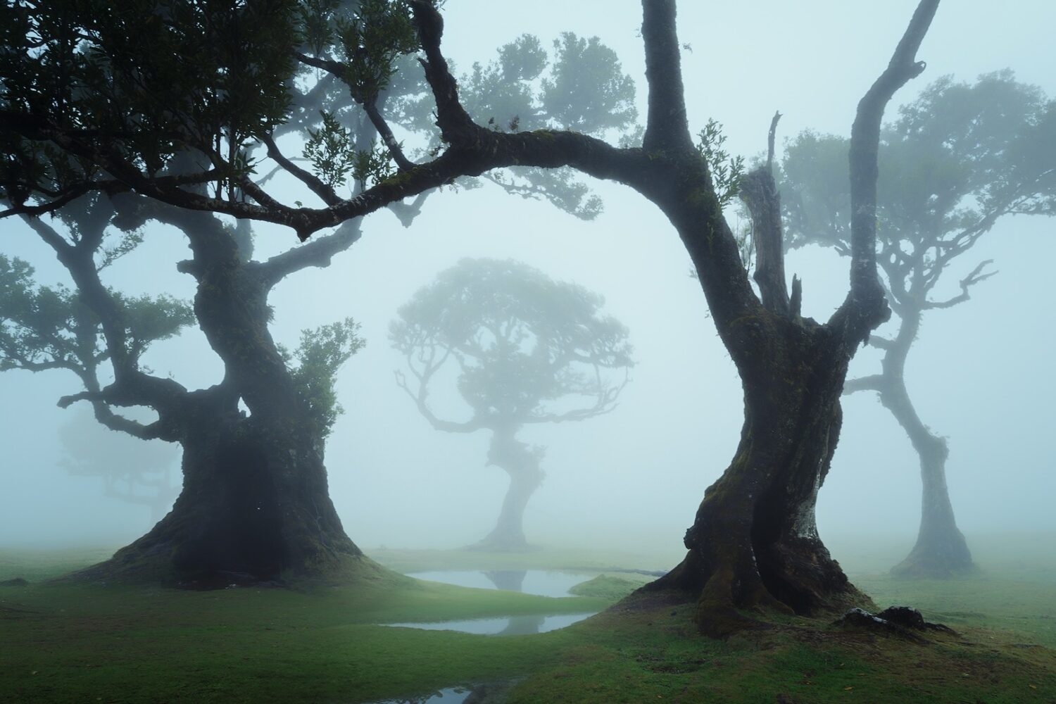 The Dancer By-David Martín Castan 2 - 500px