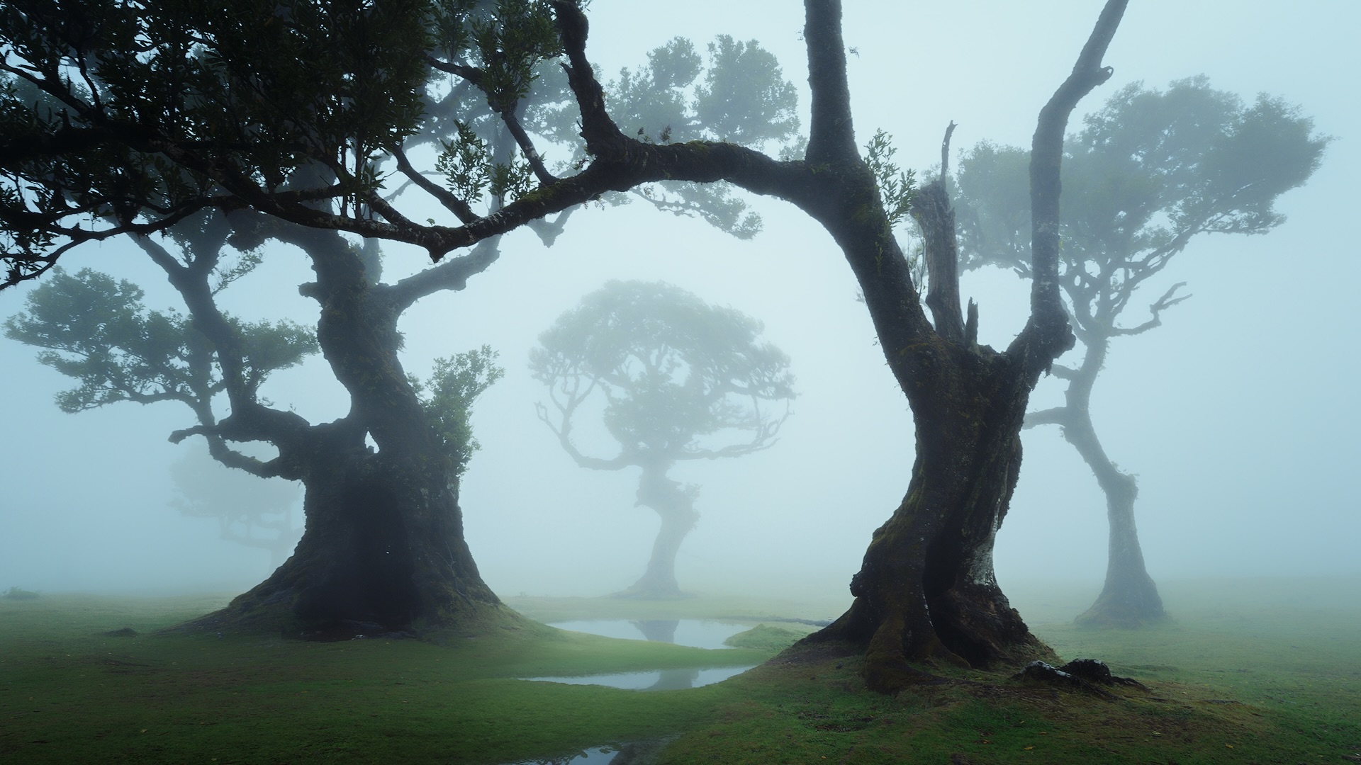 The Dancer By-David Martín Castan 2 - 500px